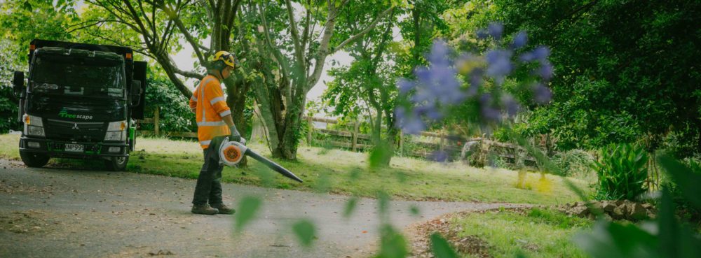 Our Services - Treescape - Services NZ/AU
