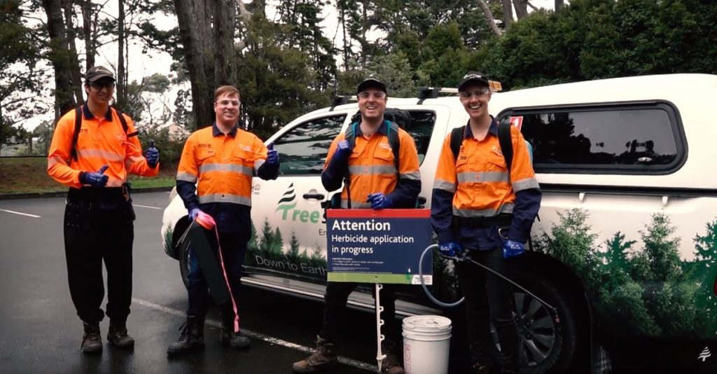 Case Studies - Treescape