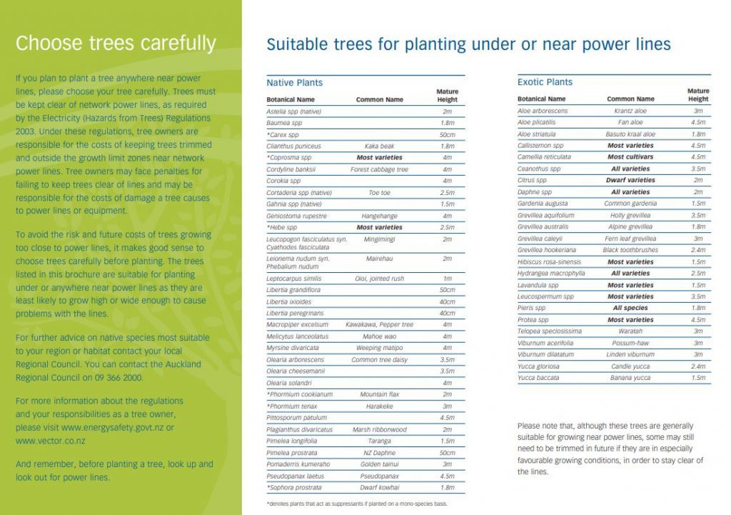 Planting Trees under Powerlines - Treescape