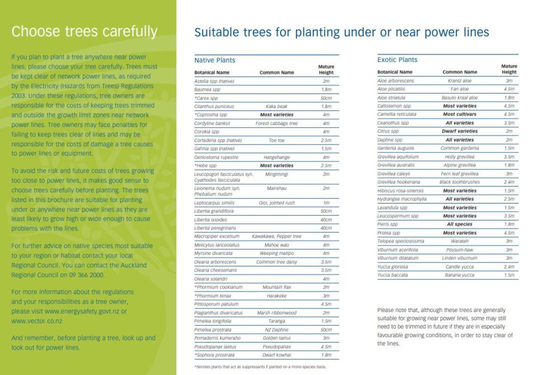 Planting Trees under Powerlines - Treescape