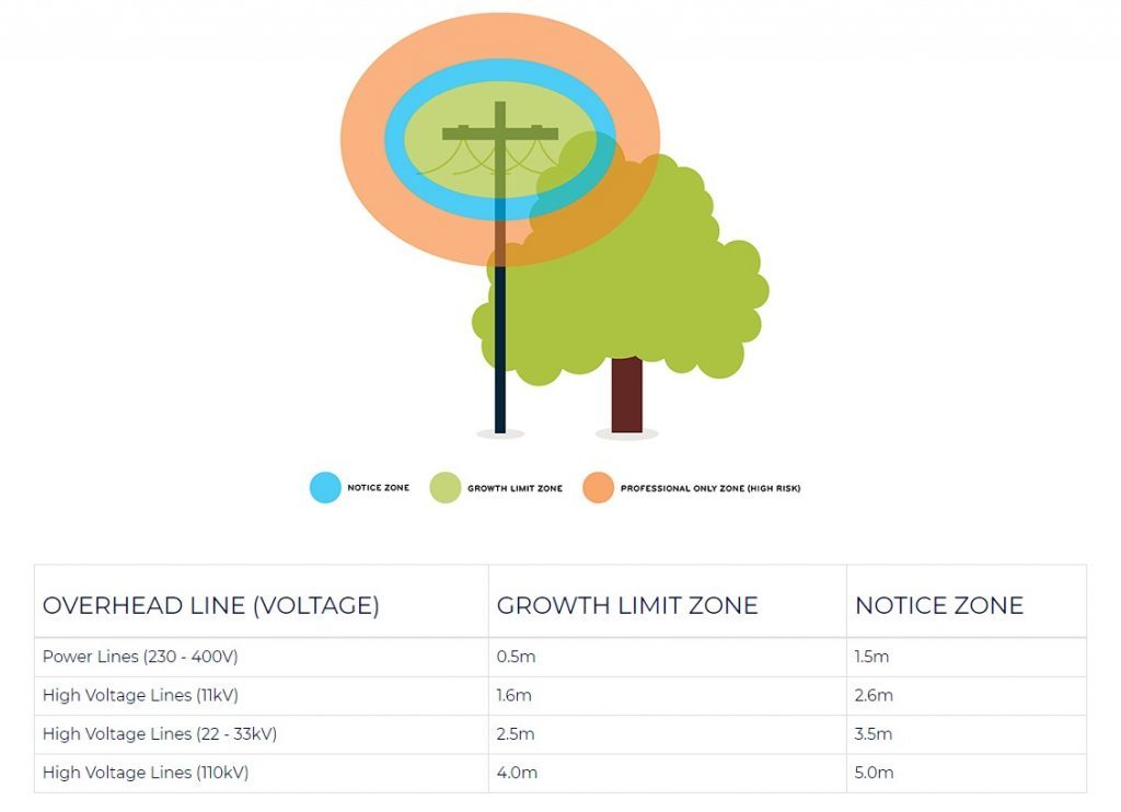 Powerline Clearing - Treescape