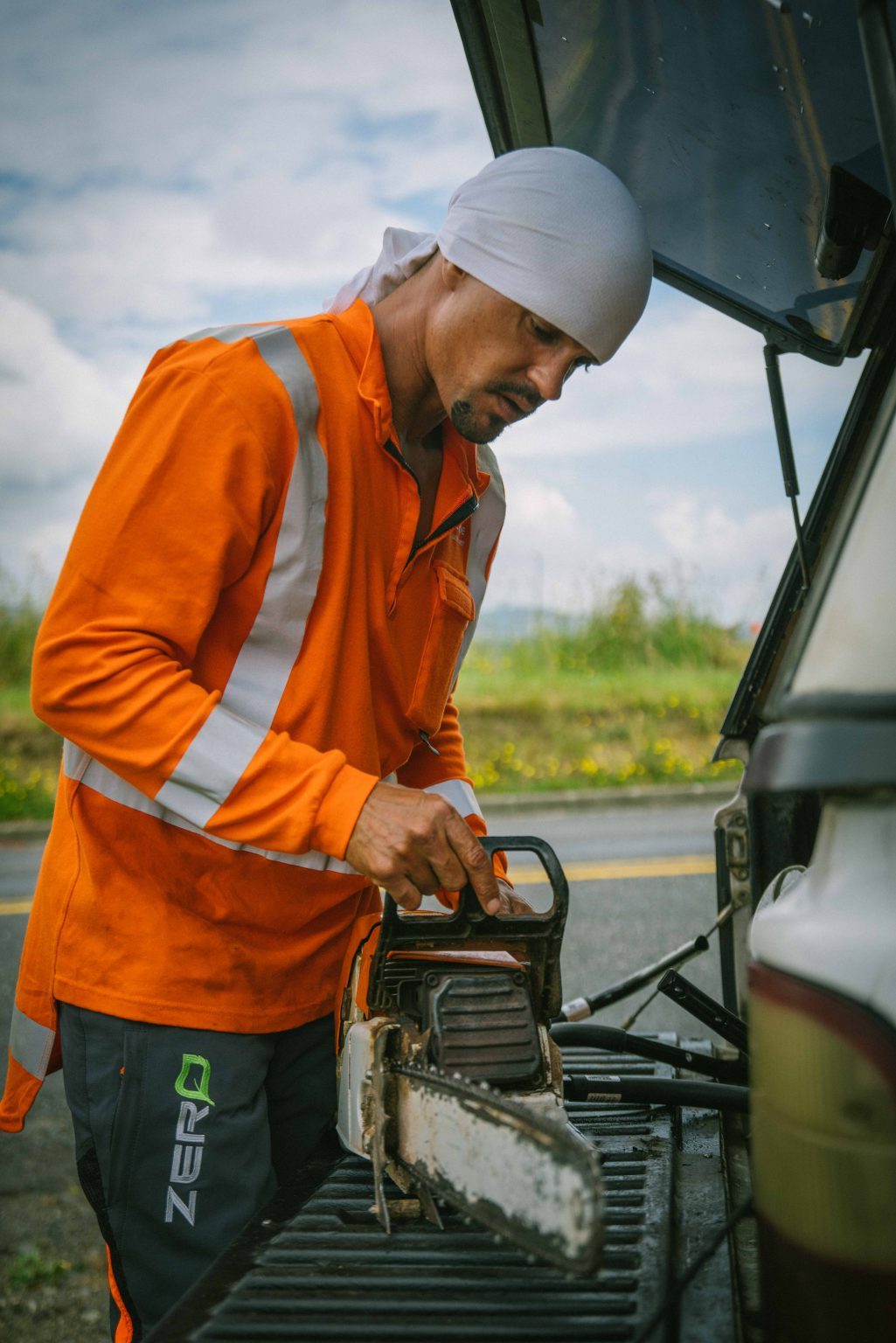 Why should you hire an arborist to take care of your trees? - Treescape