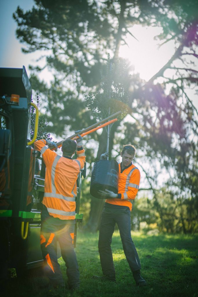 Tree planting - what's right for your property? - Treescape