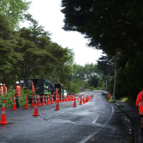 Traffic Operative - Treescape