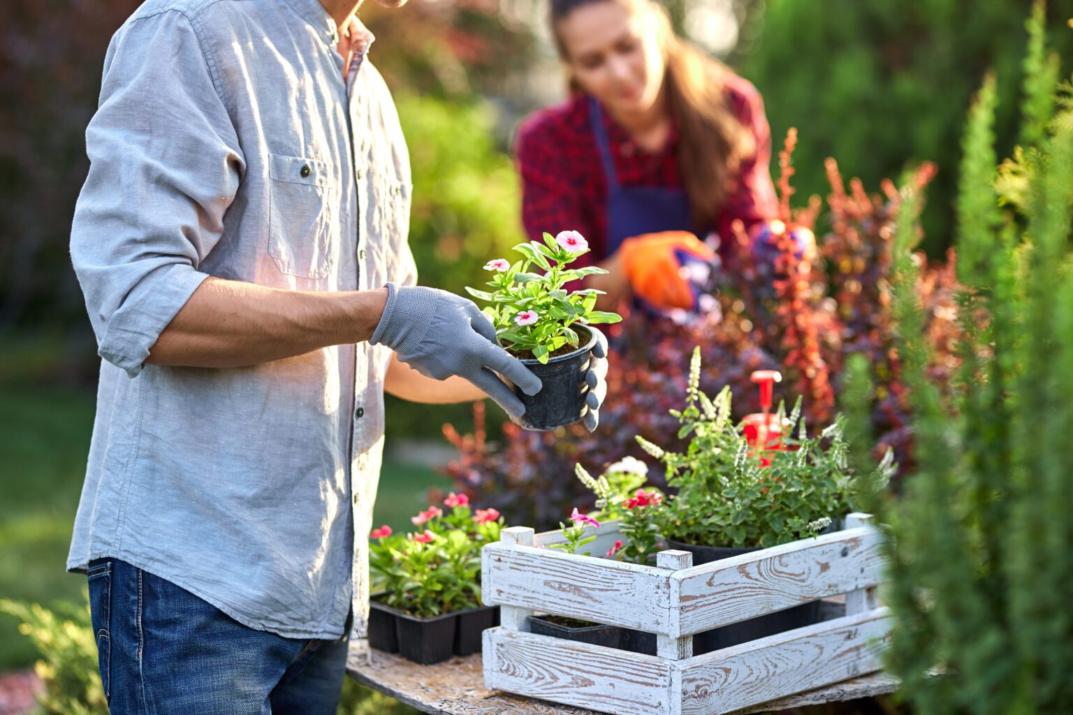 Gardening in spring: tips and tasks - Treescape