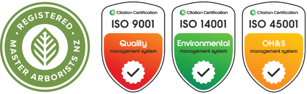 Why should you hire an arborist to take care of your trees? - Treescape